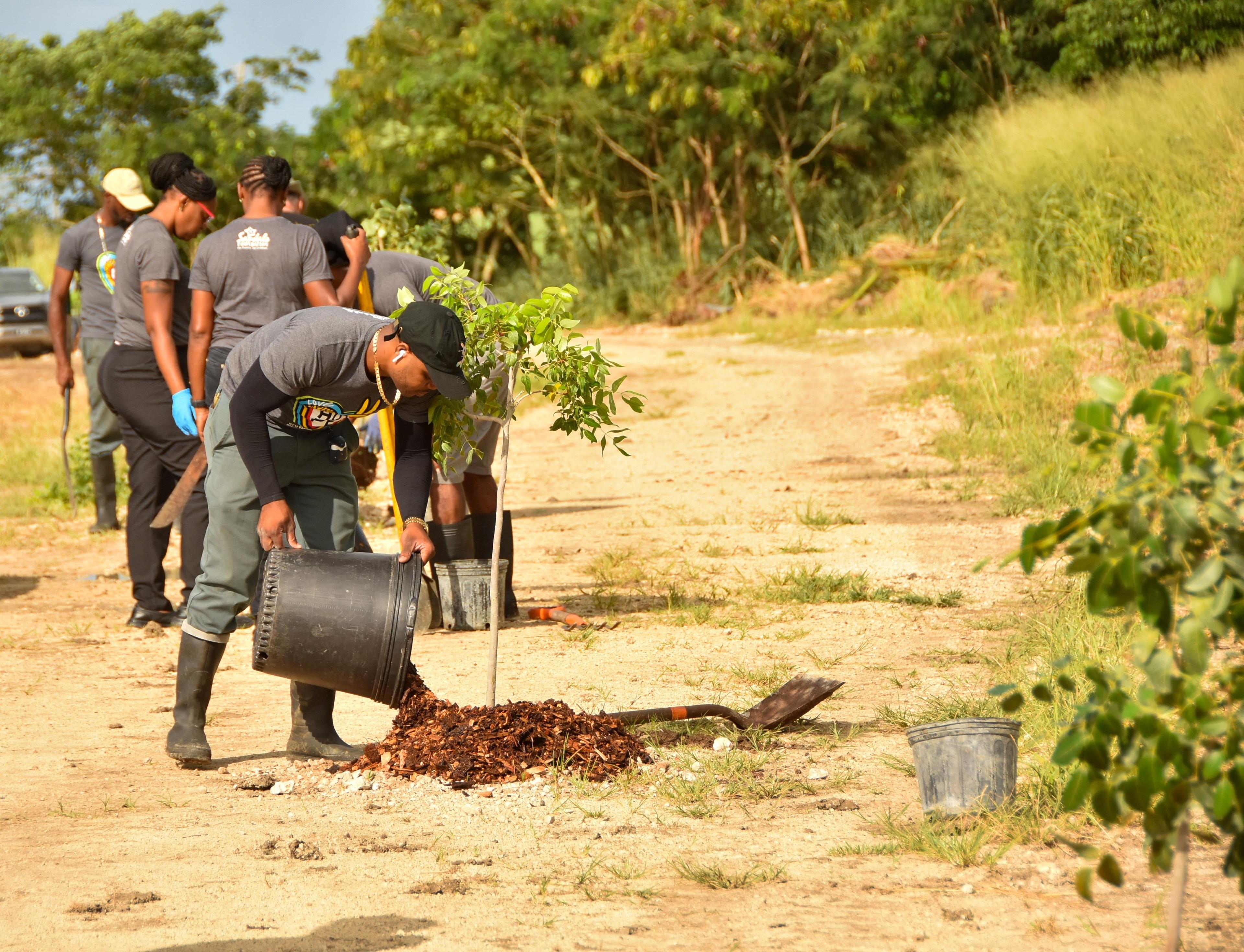 Sandals® Foundation: Hurricane Melissa Relief in Jamaica
